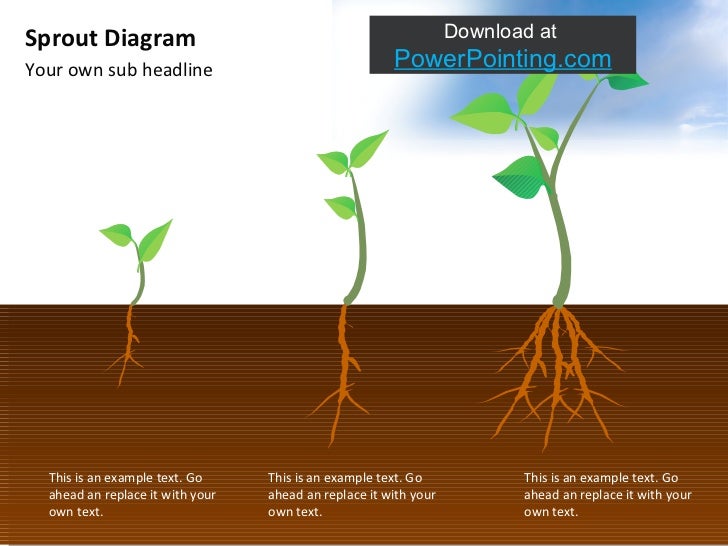 Powerpoint Sprout Diagram