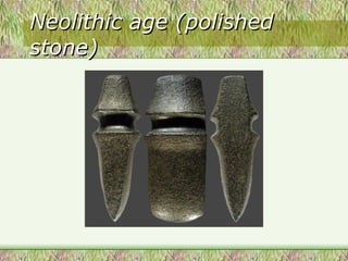 Powerpoint stone age | PPT