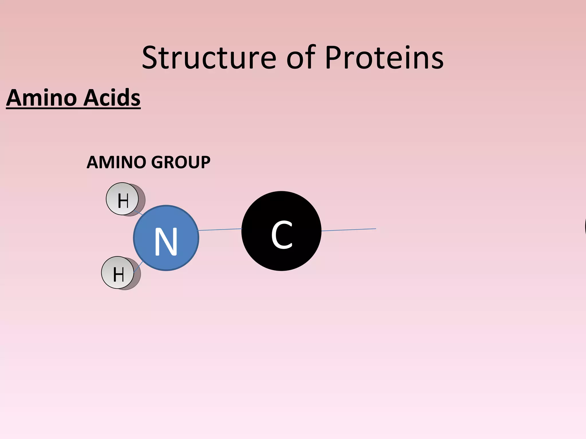 Structure of Proteins | PPT