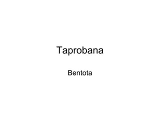 Taprobana, Bentota - Sri Lanka | PPT