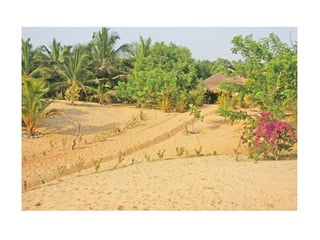 Palagama Beach, Kalpitiya - Sri Lanka | PPT