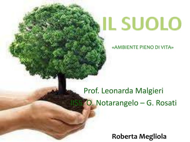 Suolo | PPTX