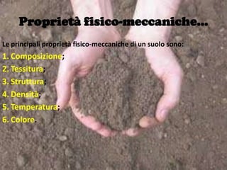 Suolo | PPTX