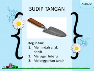 Power point tanaman | PPTX