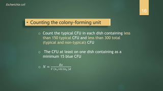 POWERPOINT templet - Copy.pptx