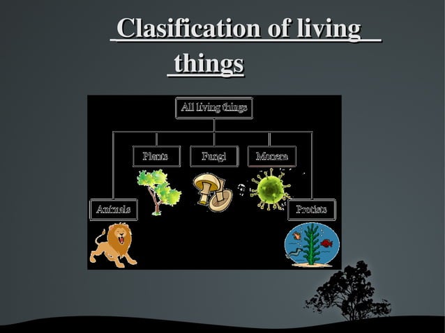 Classification of Living Things | PPT