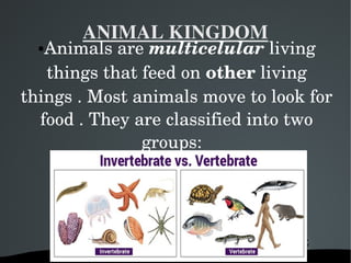 Classification of Living Things | PPT