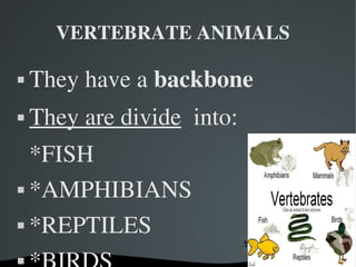 Classification of Living Things | PPT