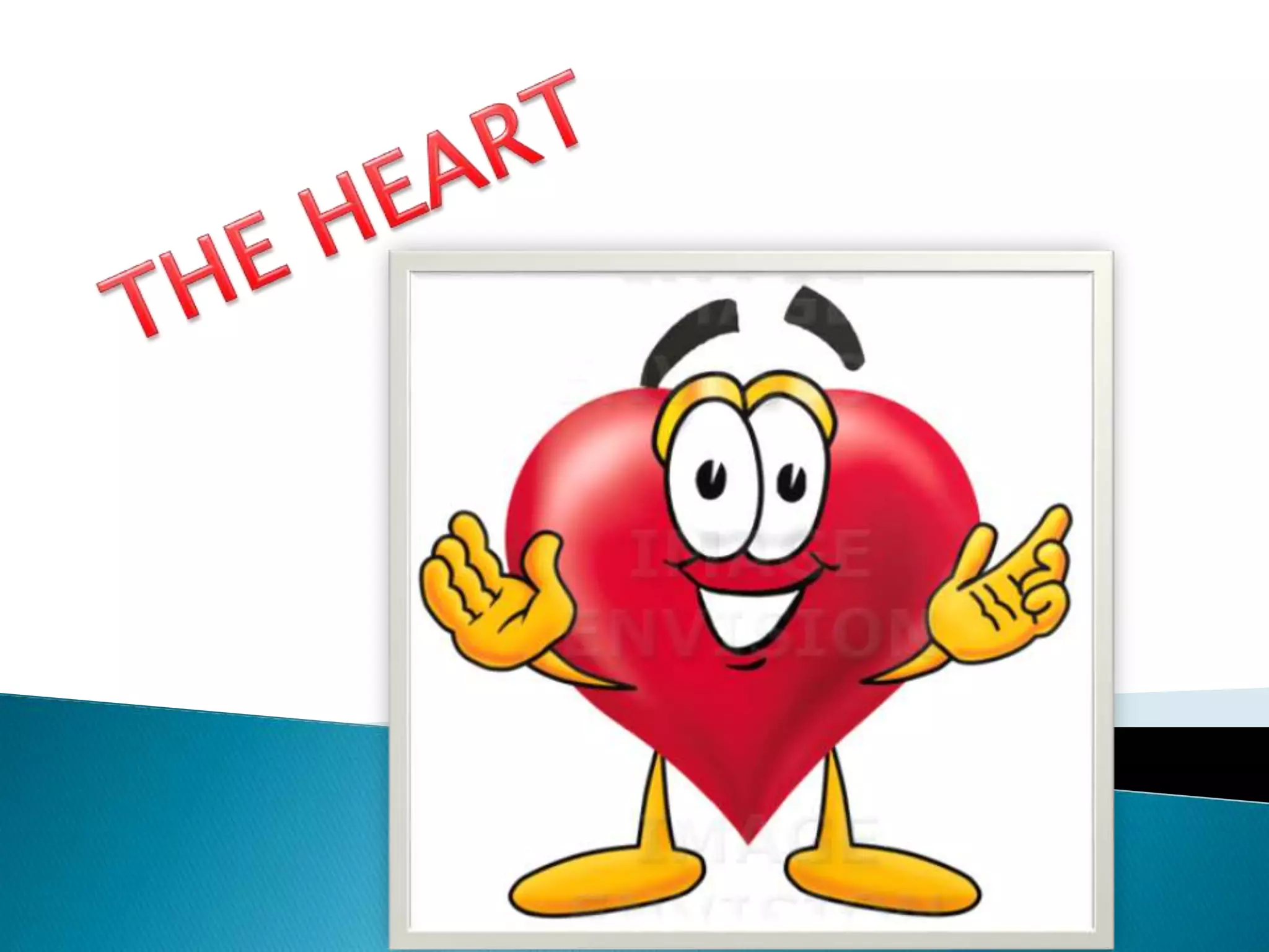 THE HEART PPT | PPTX