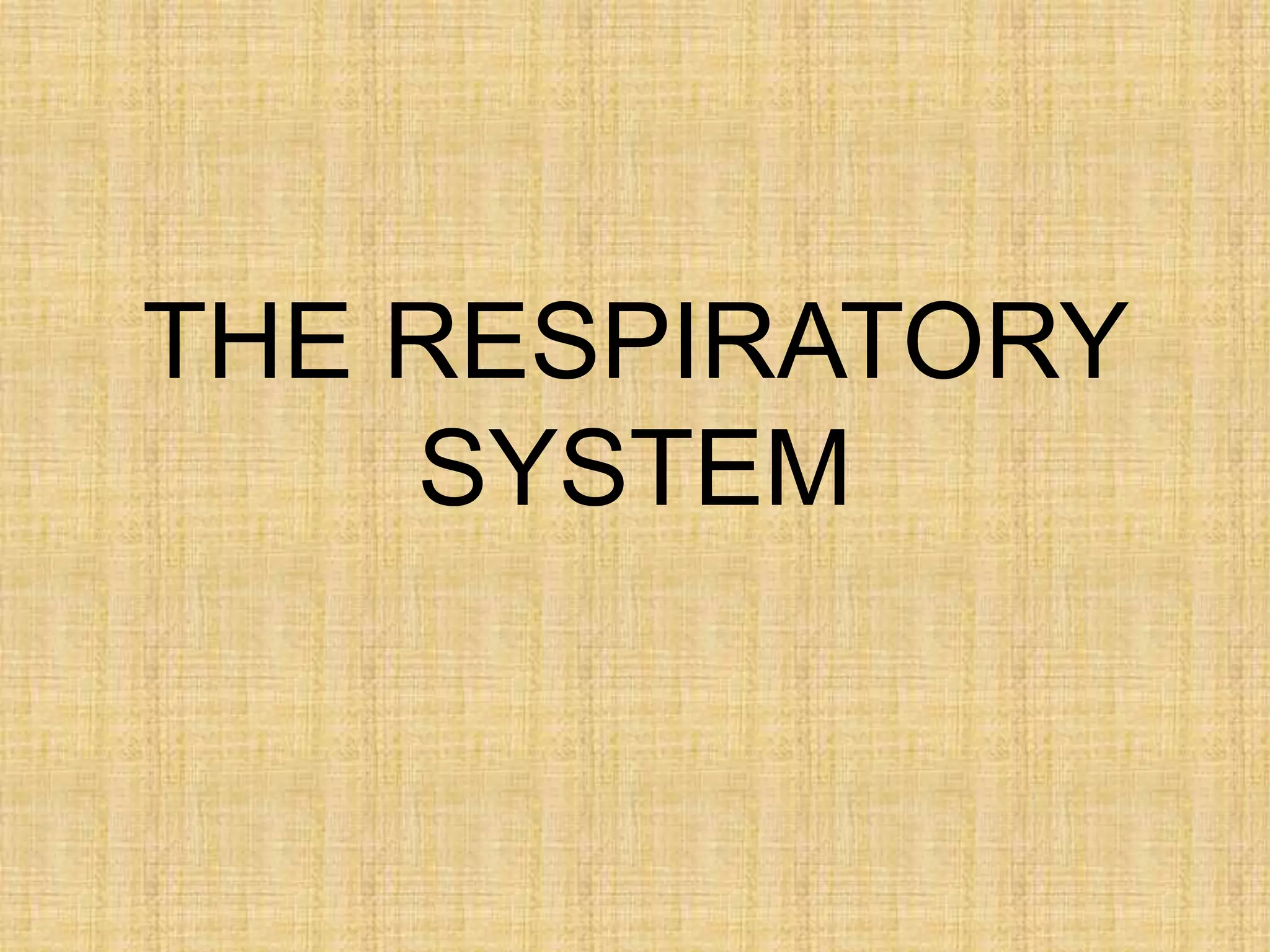 power point the respiratory system.ppt