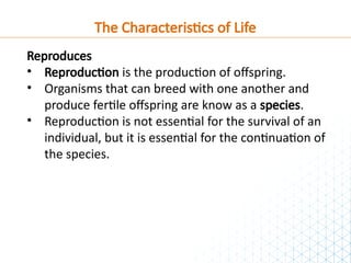 PowerPoint The Science of Life (1 ...