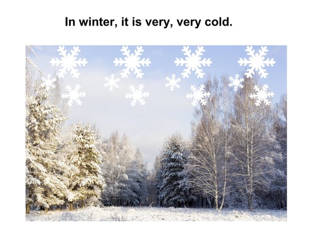 Seasons of the year | PPT | Weather | Science