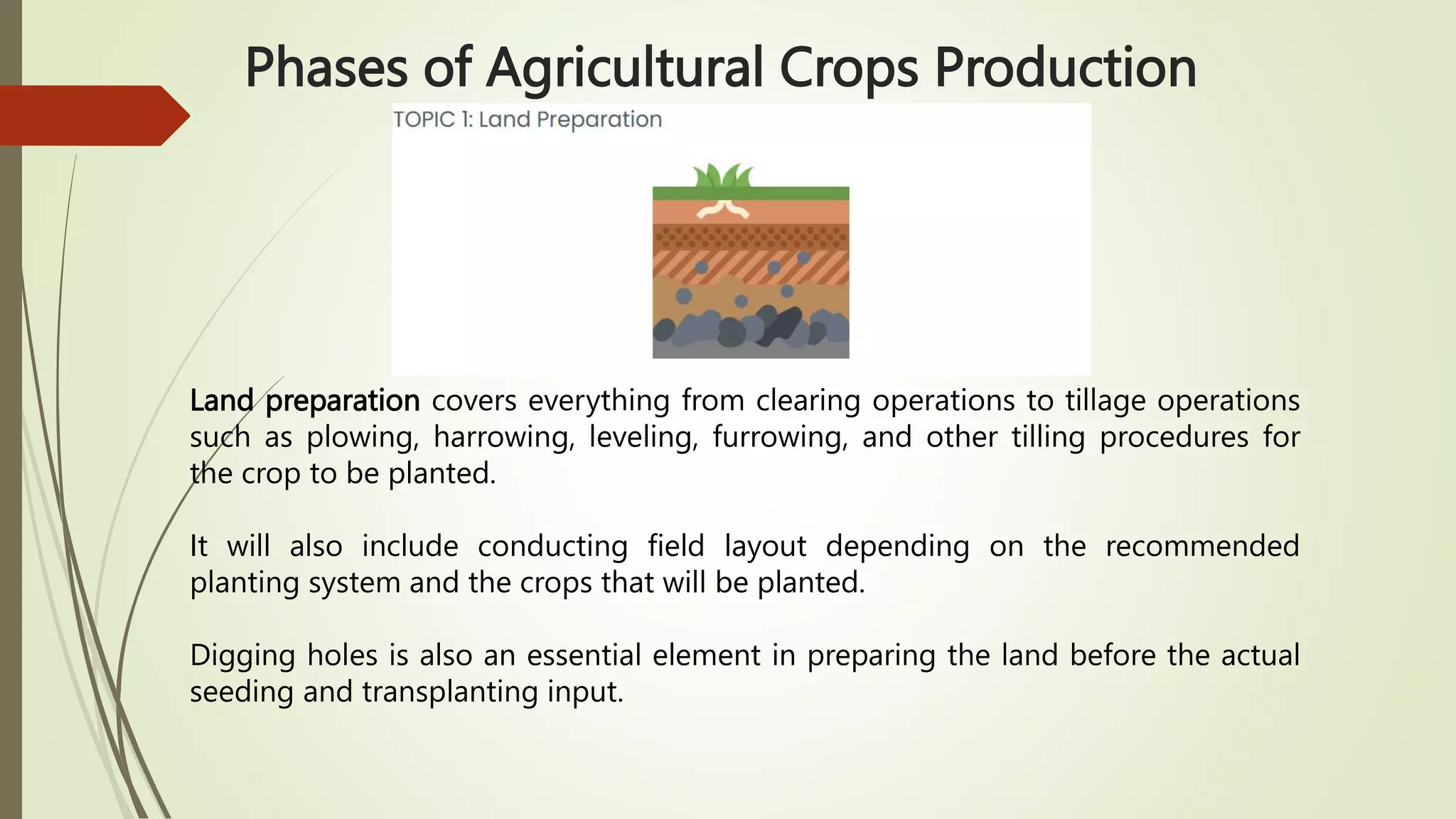 POWERPOINT TLE AGRI. CROP_123419.pptx