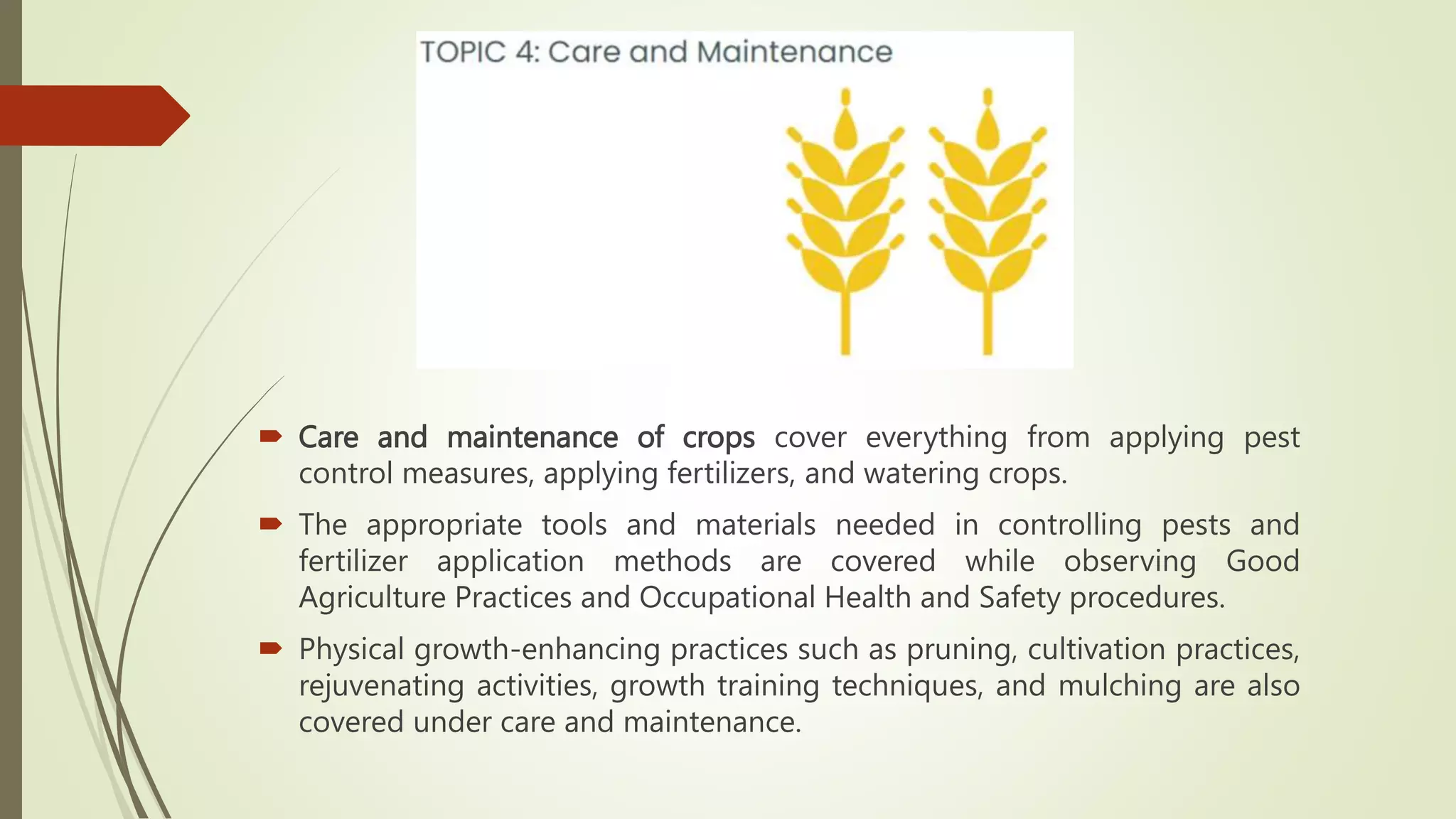 POWERPOINT TLE AGRI. CROP_123419.pptx