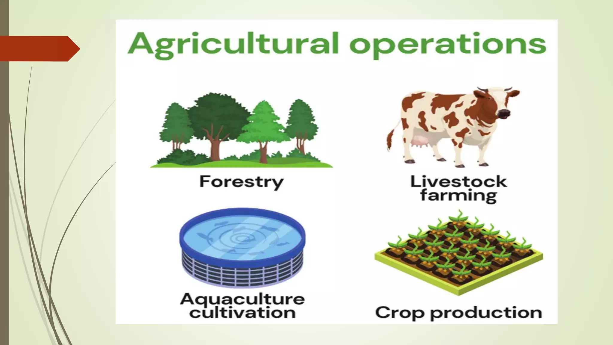POWERPOINT TLE AGRI. CROP_123419.pptx