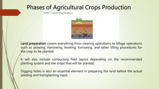 POWERPOINT TLE AGRI. CROP_123419.pptx