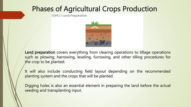 POWERPOINT TLE AGRI. CROP_123419.pptx | Agriculture | Industries