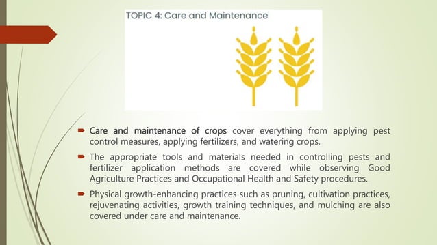 POWERPOINT TLE AGRI. CROP_123419.pptx | Agriculture | Industries