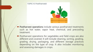 POWERPOINT TLE AGRI. CROP_123419.pptx