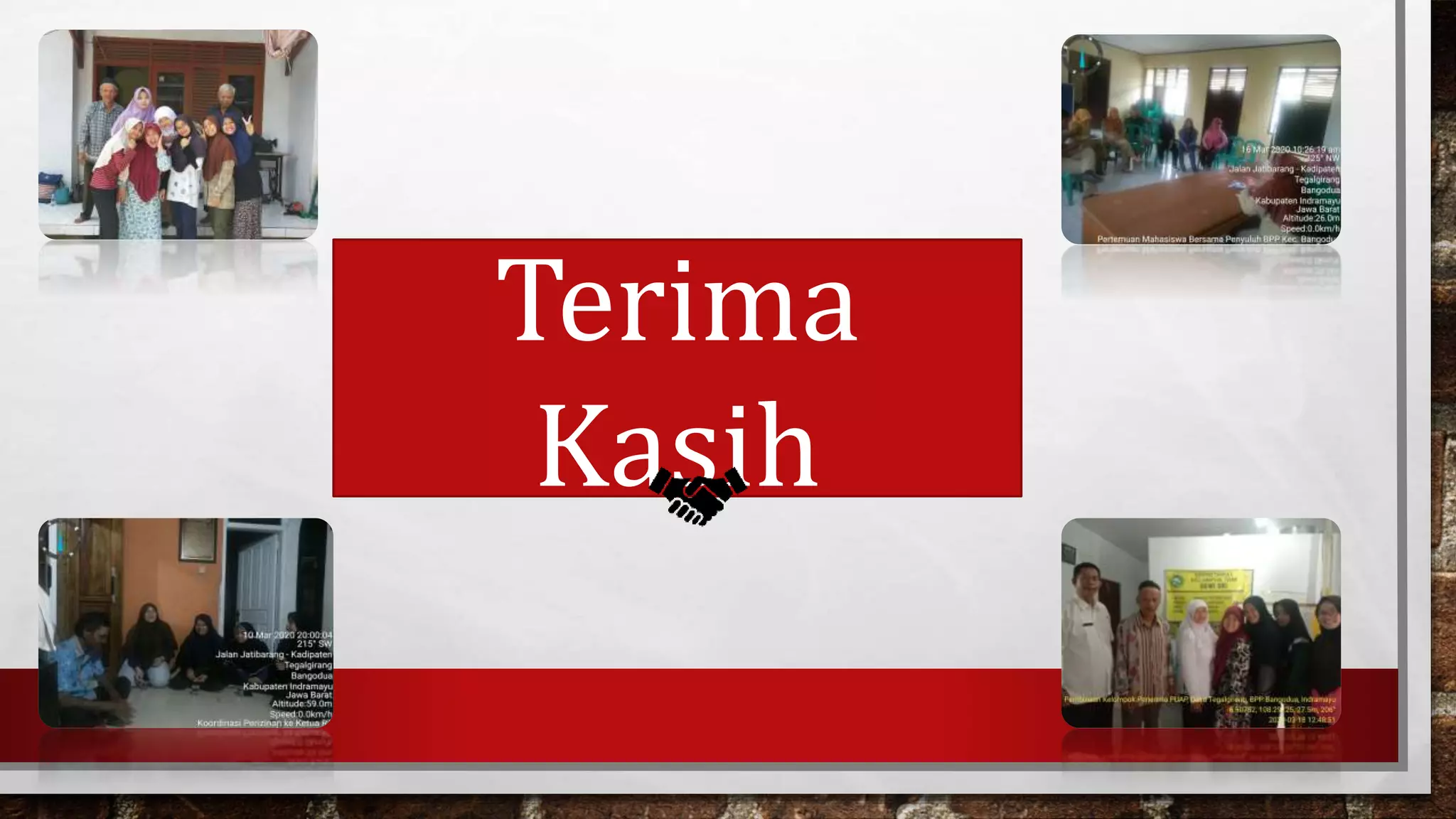 Penelitian Pemberdayaan Petani dalam Penerapan Teknologi Intercropping ...