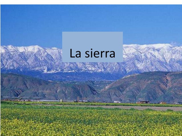 Un oso y un amor: Vocabulario y temas | PPTX