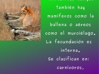 Power point vertebrados 1 | PPT