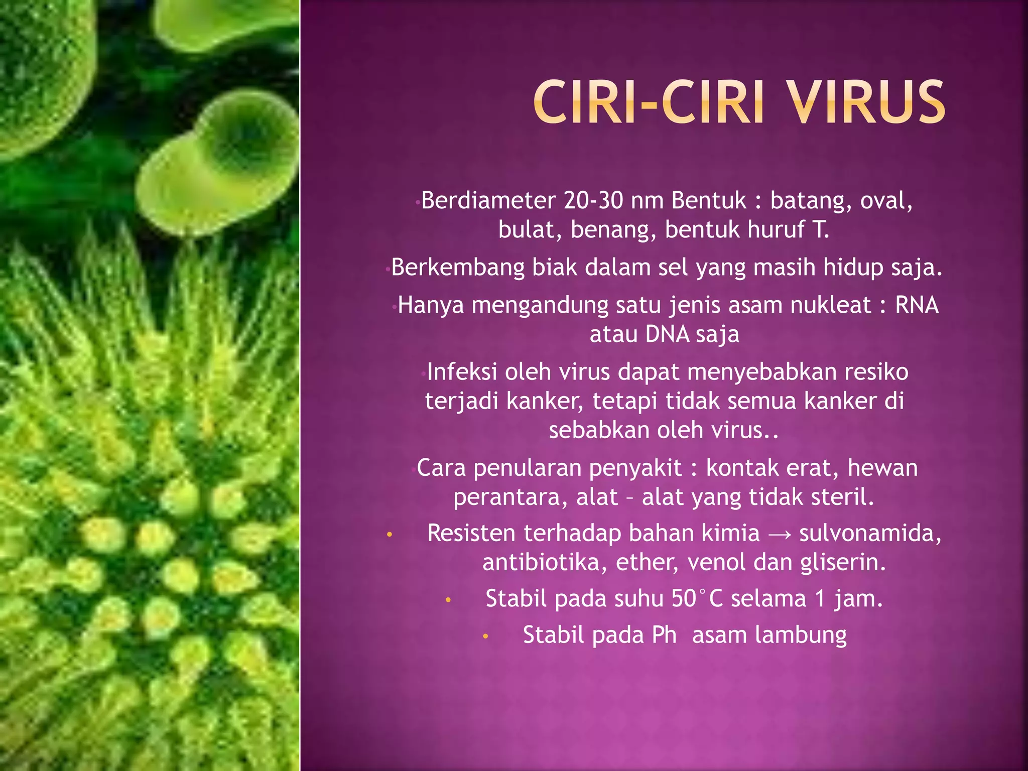 Powerpoint virology | PPT