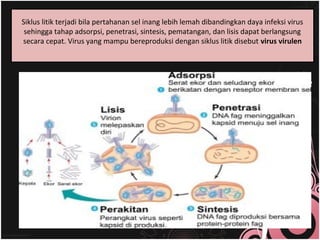 Powerpoint virus | PPT
