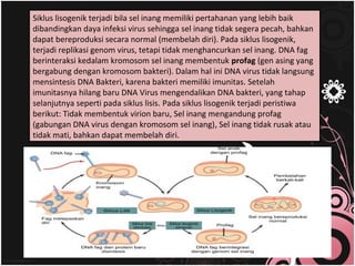 Powerpoint virus | PPT