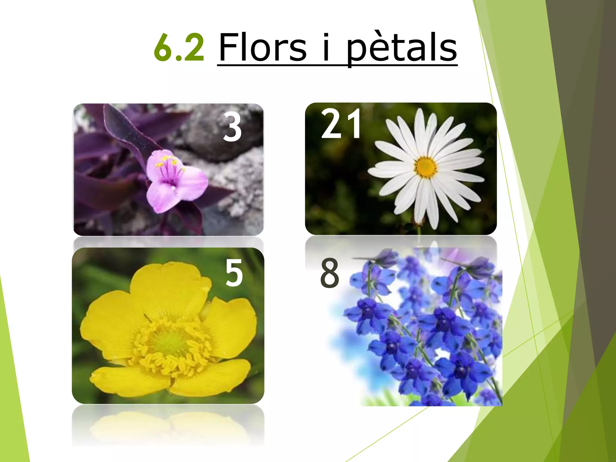 El nombre auri | PPTX