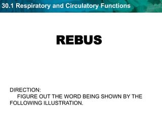 Human Respiratory and Circulatory system | PPT