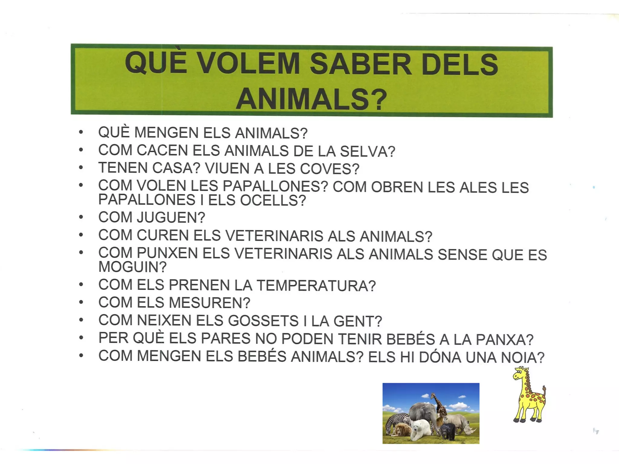 Projecte Animals P4 | PPT