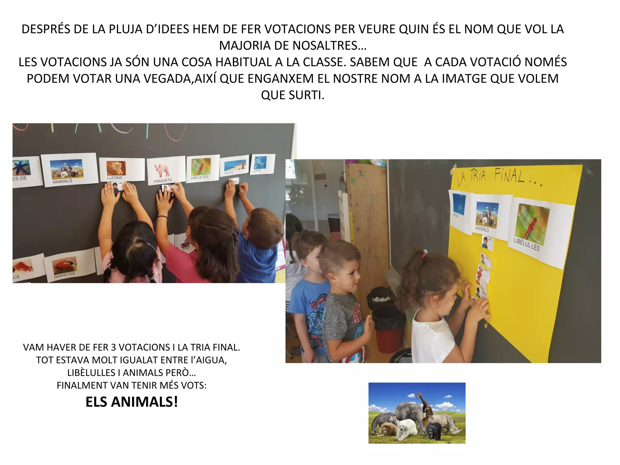 Projecte Animals P4 | PPT