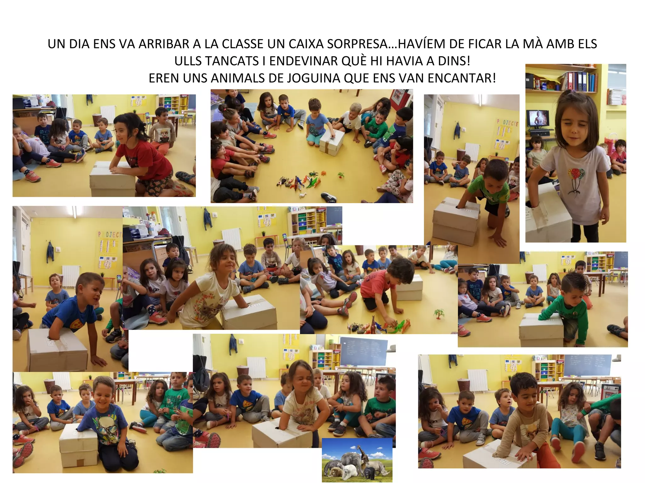 Projecte Animals P4 | PPT