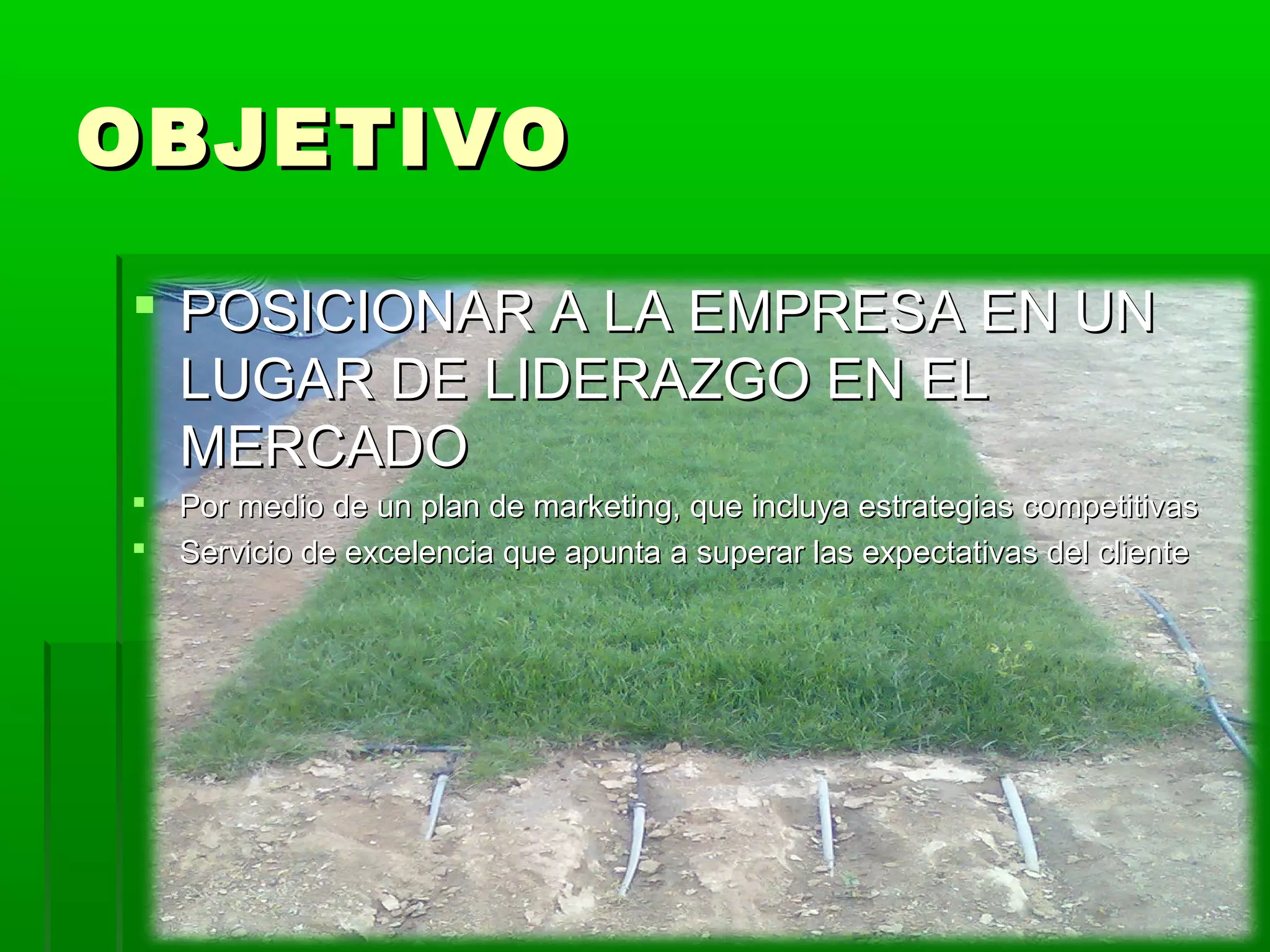 Ejemplo de Proyecto | PPT