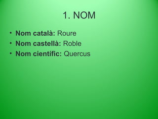 El roure | PPT