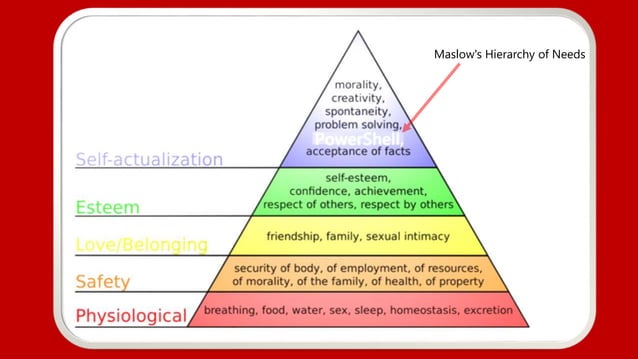 Office 365 Useradmin with PowerShell | PPT
