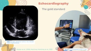 power tfg con correcciones.pptx