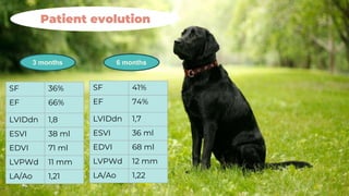 power tfg con correcciones.pptx