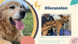 power tfg con correcciones.pptx