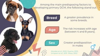 power tfg con correcciones.pptx