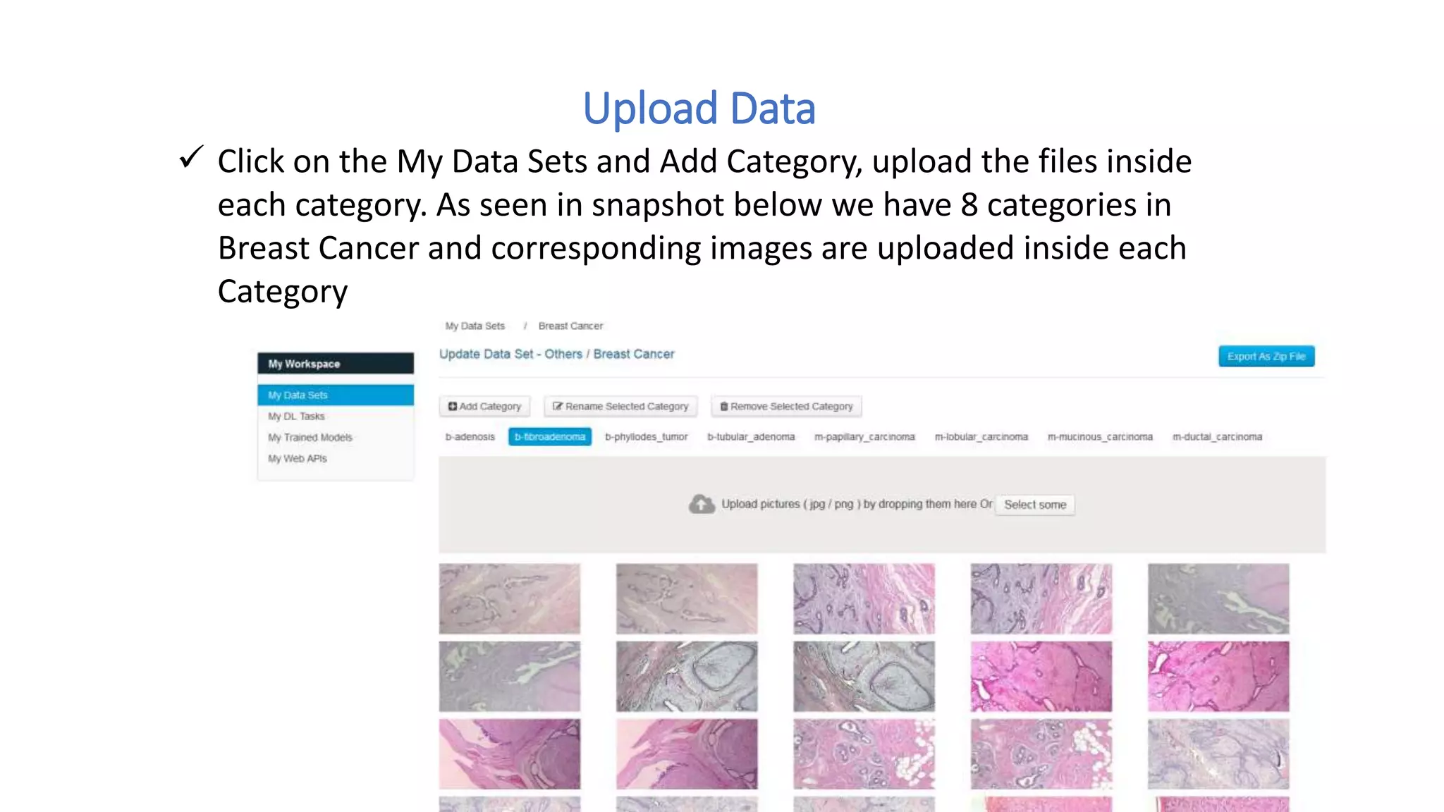 PowerAI vision execution steps | PPTX | Computing | Technology & Computing
