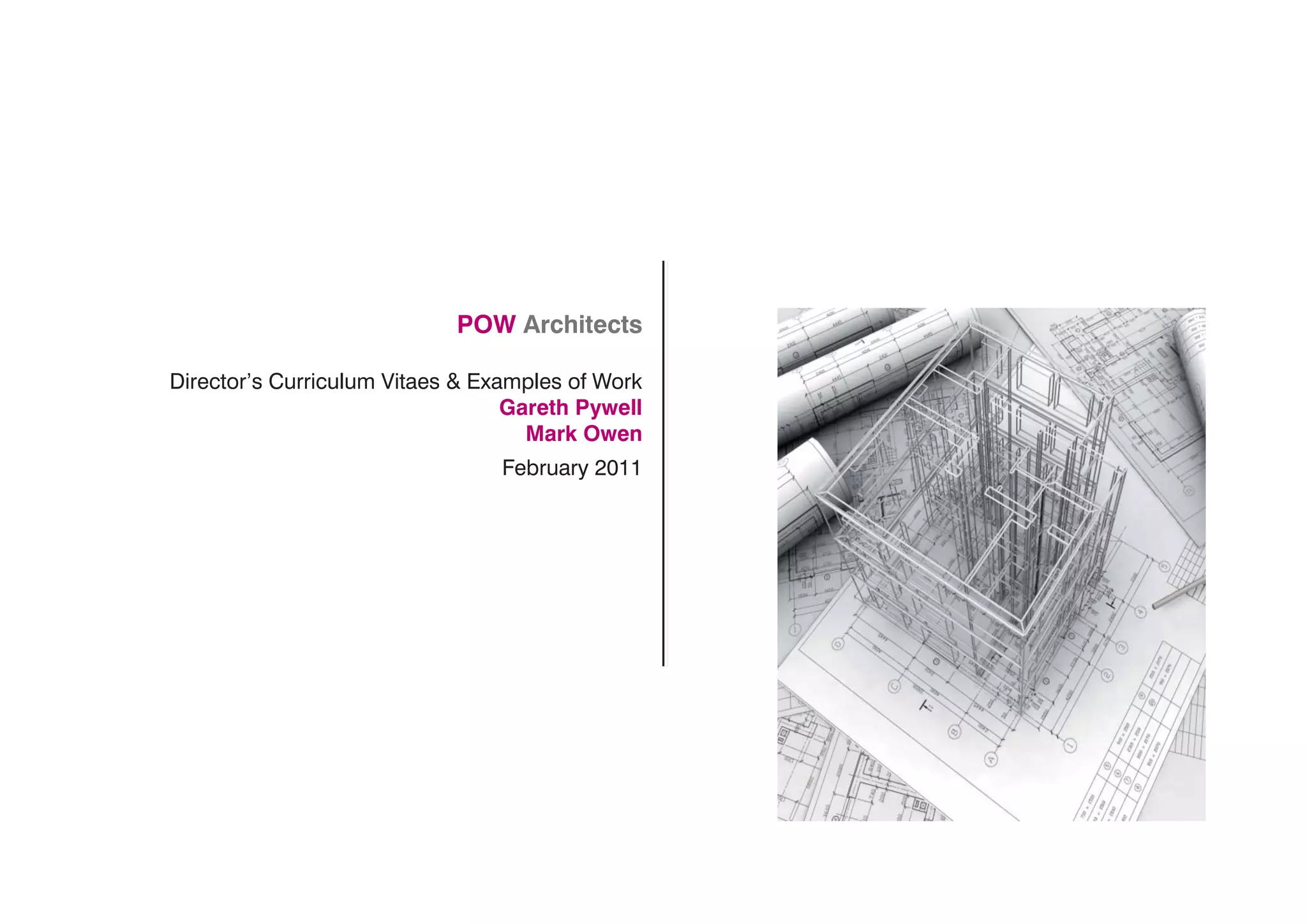 Pow professional CVs | PPT