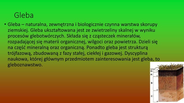 Powstanie gleb w Polsce.pptx