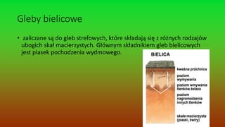 Powstanie gleb w Polsce.pptx