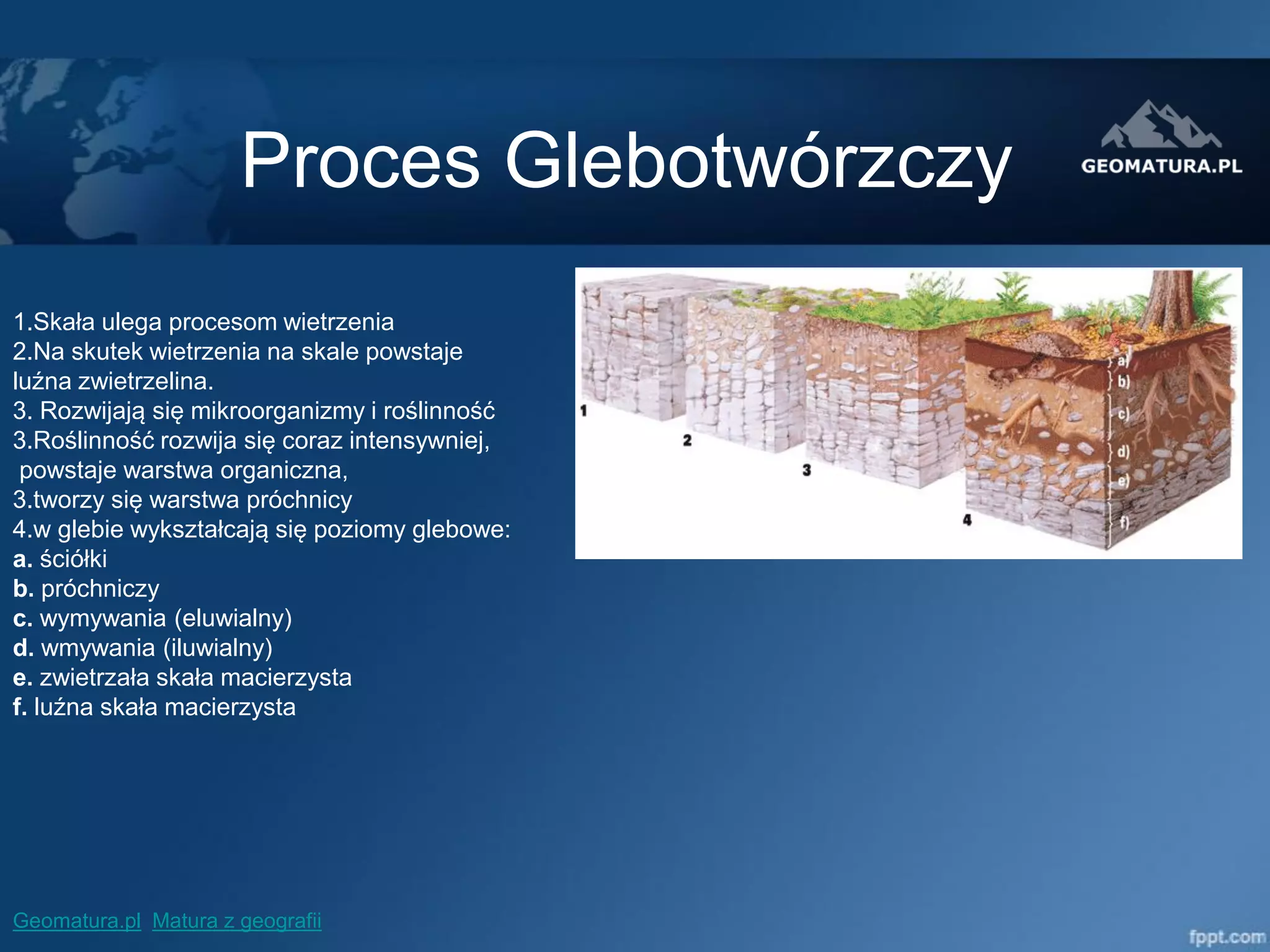 Powstawanie Gleby | PDF