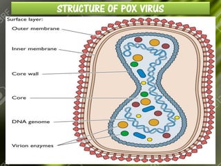Pox Virus Structure