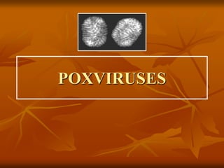 POXVIRUSES.ppt