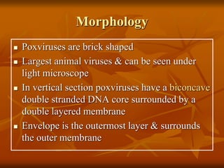 POXVIRUSES.ppt
