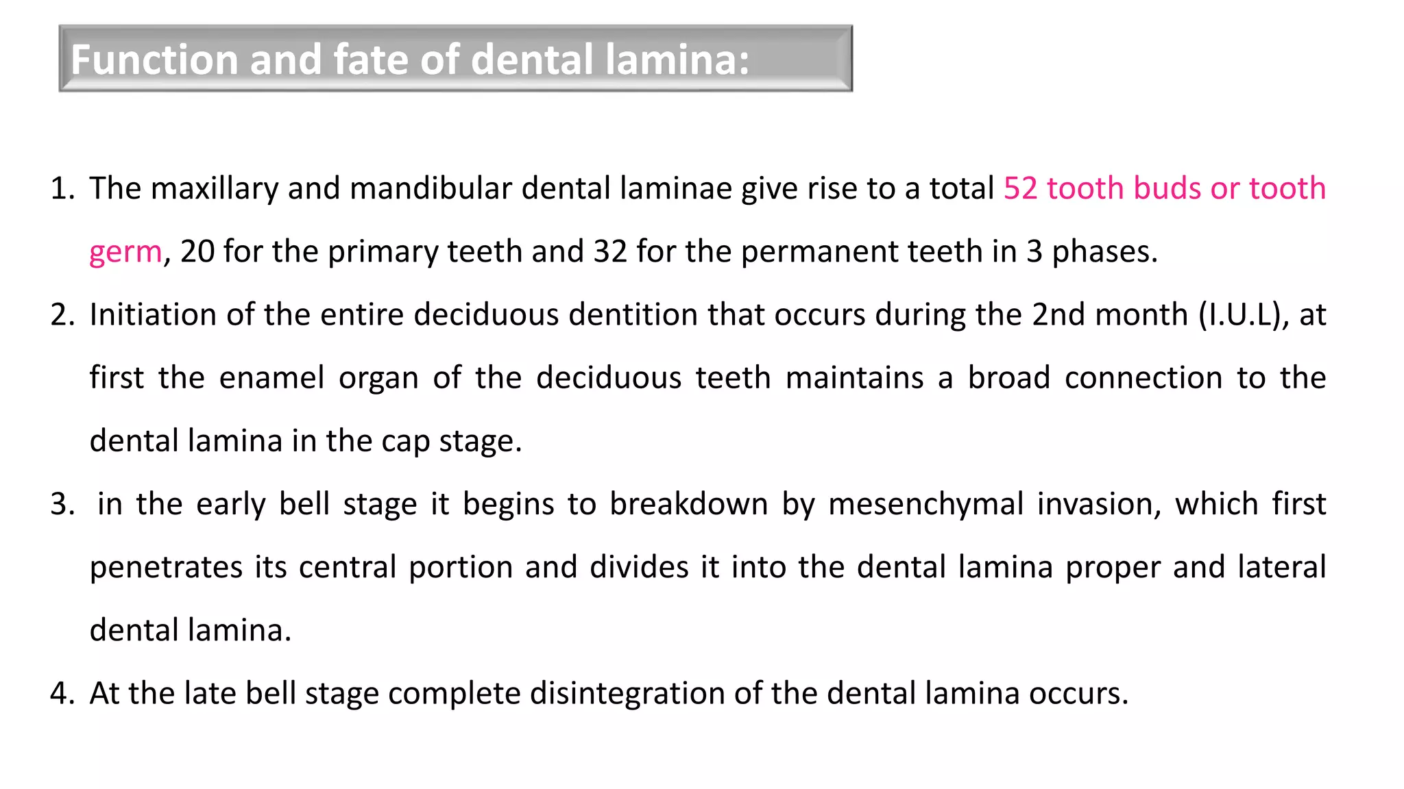 Tooth development 2 | PPTX